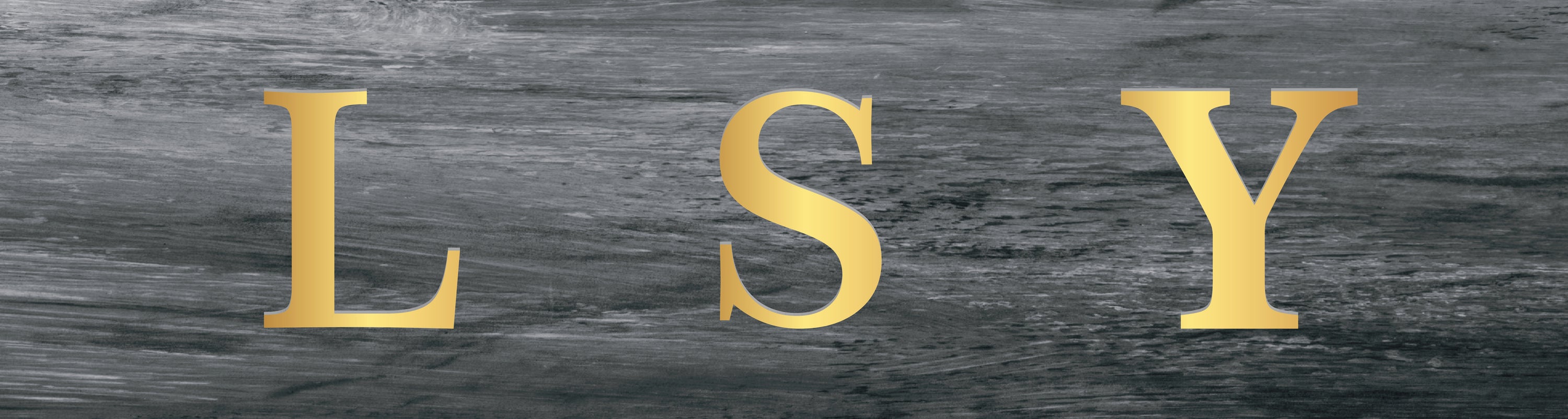 LSY COLOMBIA – L S Y